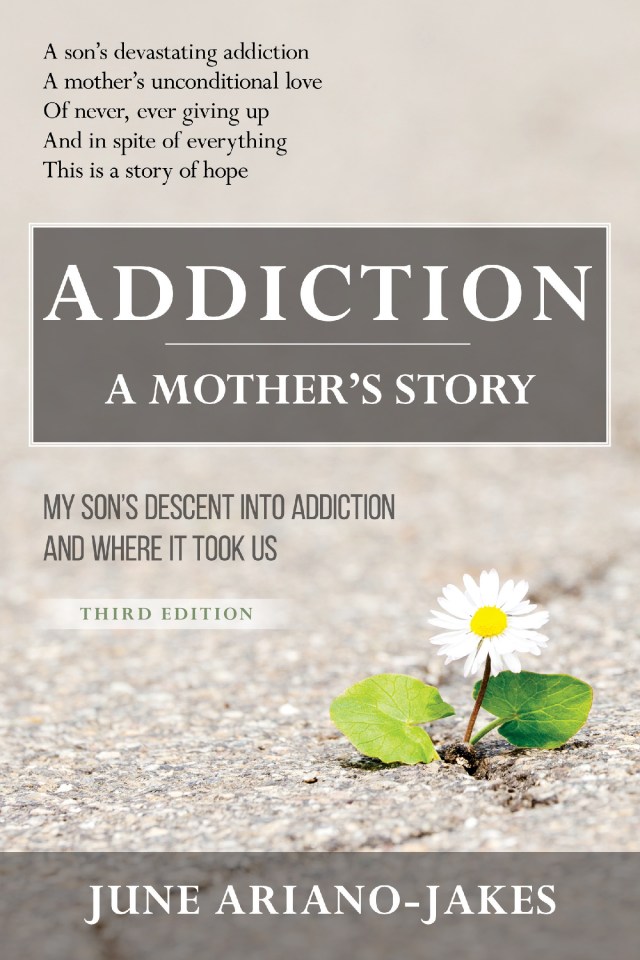 About the Book – Addiction. A Mother's Story